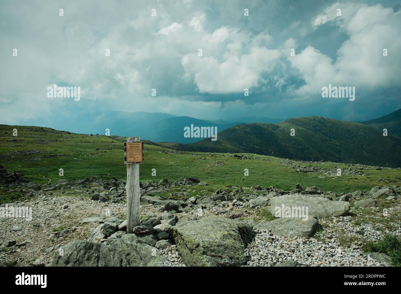 Alpine zone hi-res stock photography and images - Alamy