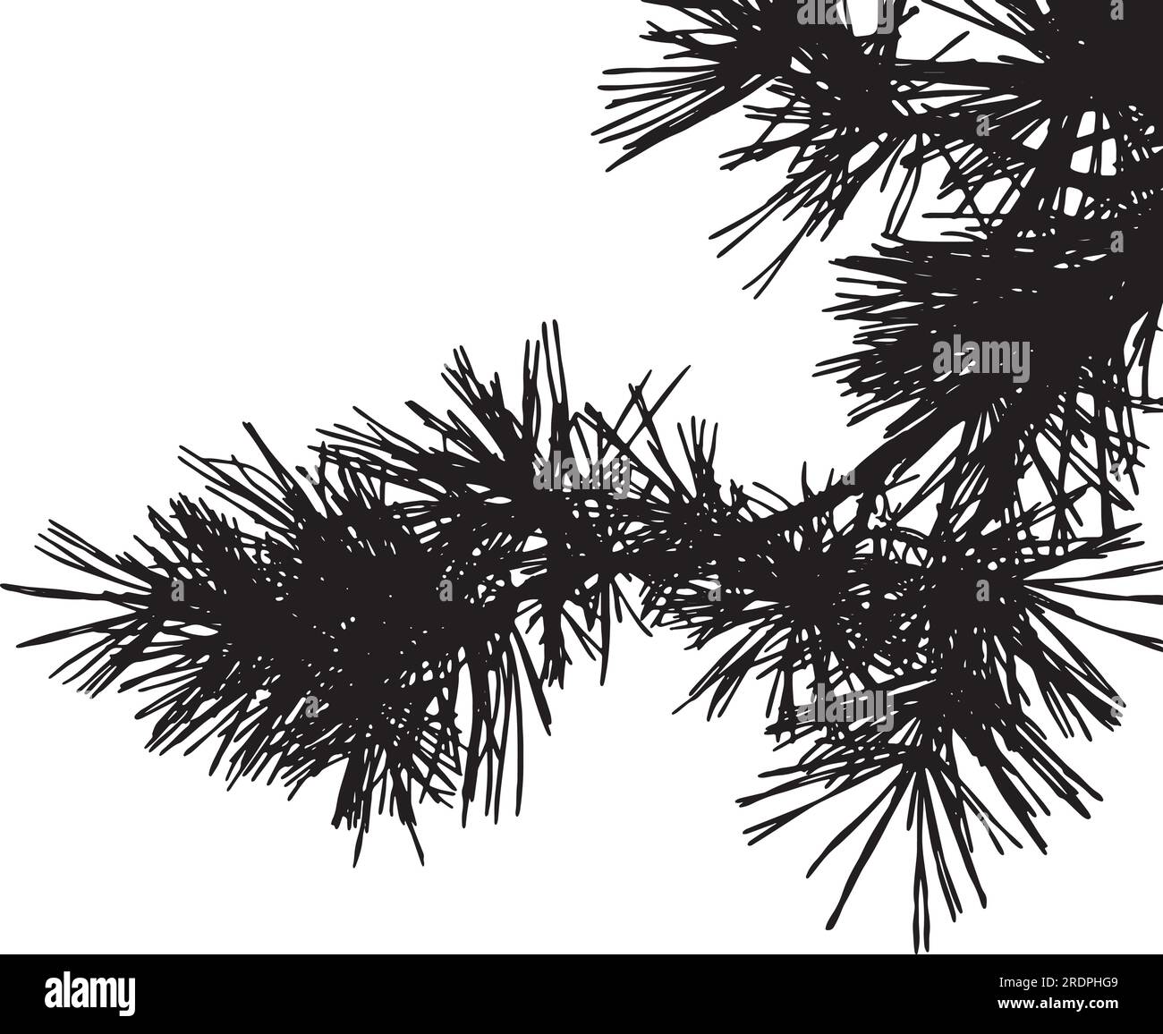 Abstract silhouette of pine tree branches illustration Stock Vector ...