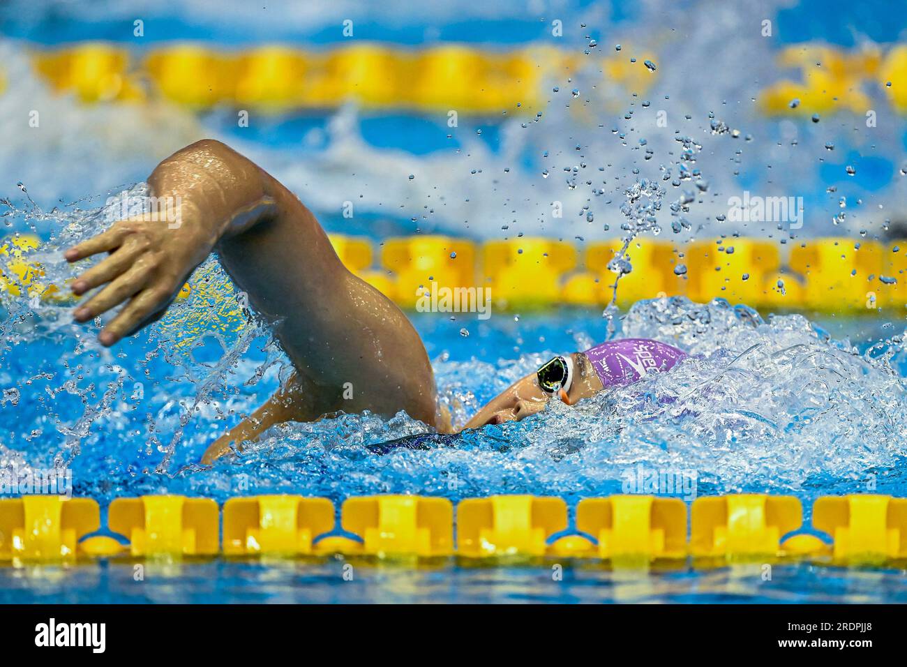 Yiting yu hi-res stock photography and images - Alamy