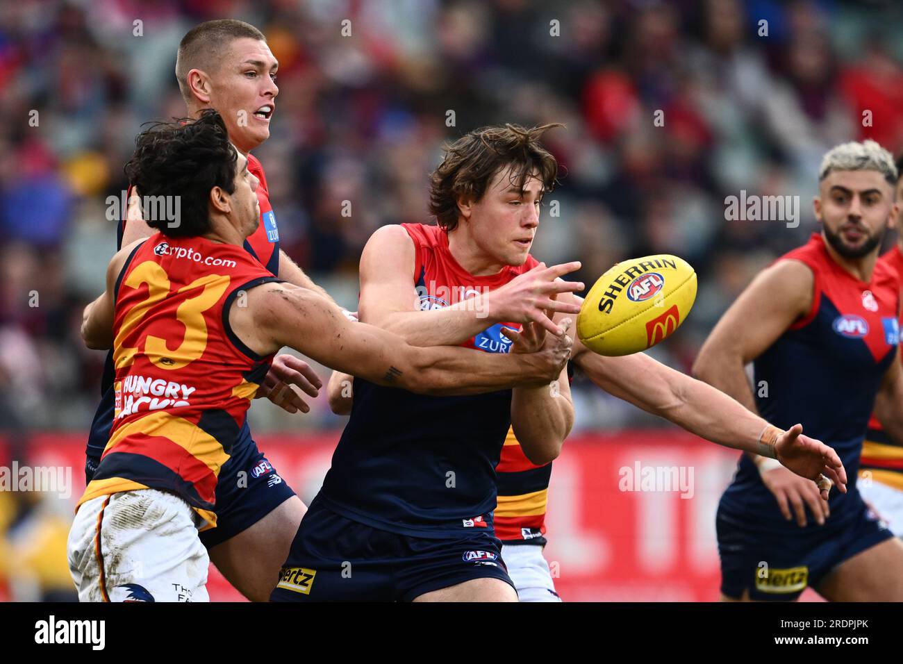 Melbourne, Australia. 23rd July, 2023. Tom Sparrow of Melbourne (centre ...