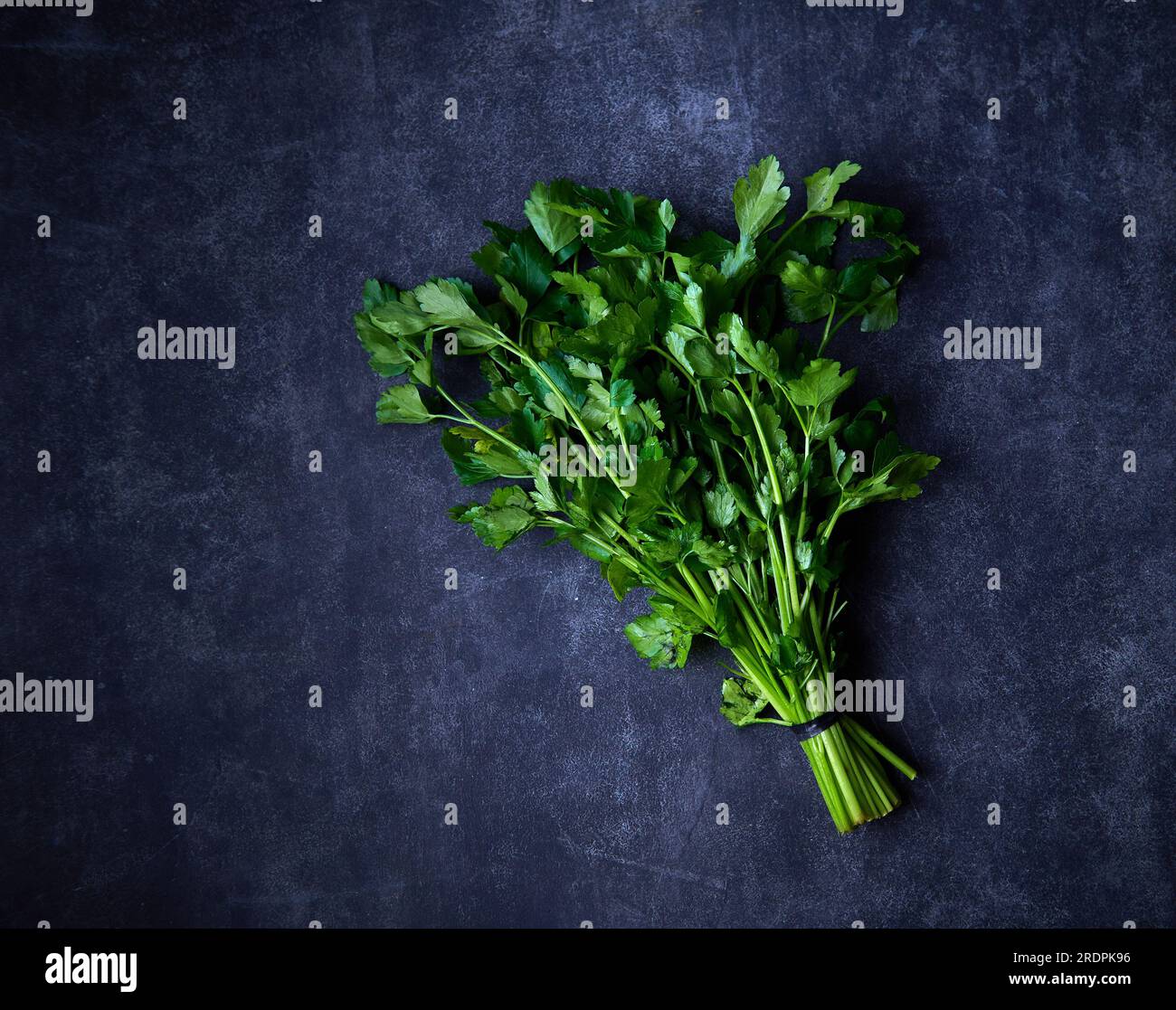 Fresh bunch of coriander on rustic grey background Stock Photo - Alamy