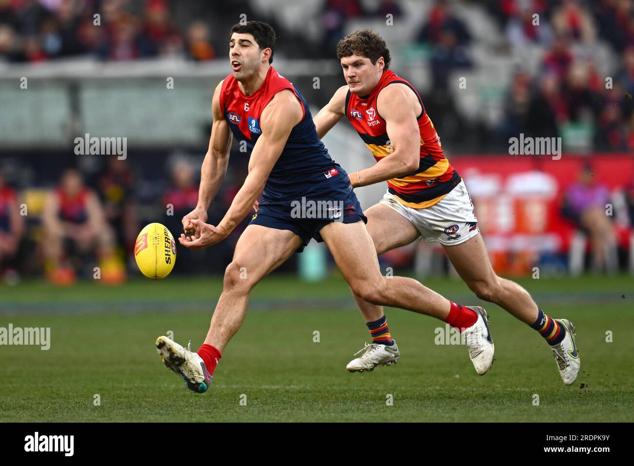 Melbourne, Australia. 23rd July, 2023. Christian Petracca of Melbourne ...
