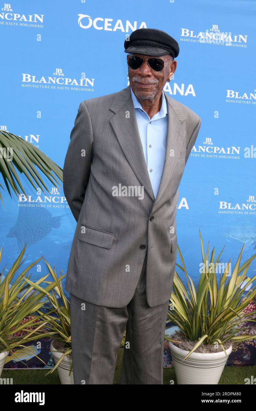 LOS ANGELES - JUL 22: Morgan Freeman at the 16th Annual SeaChange ...