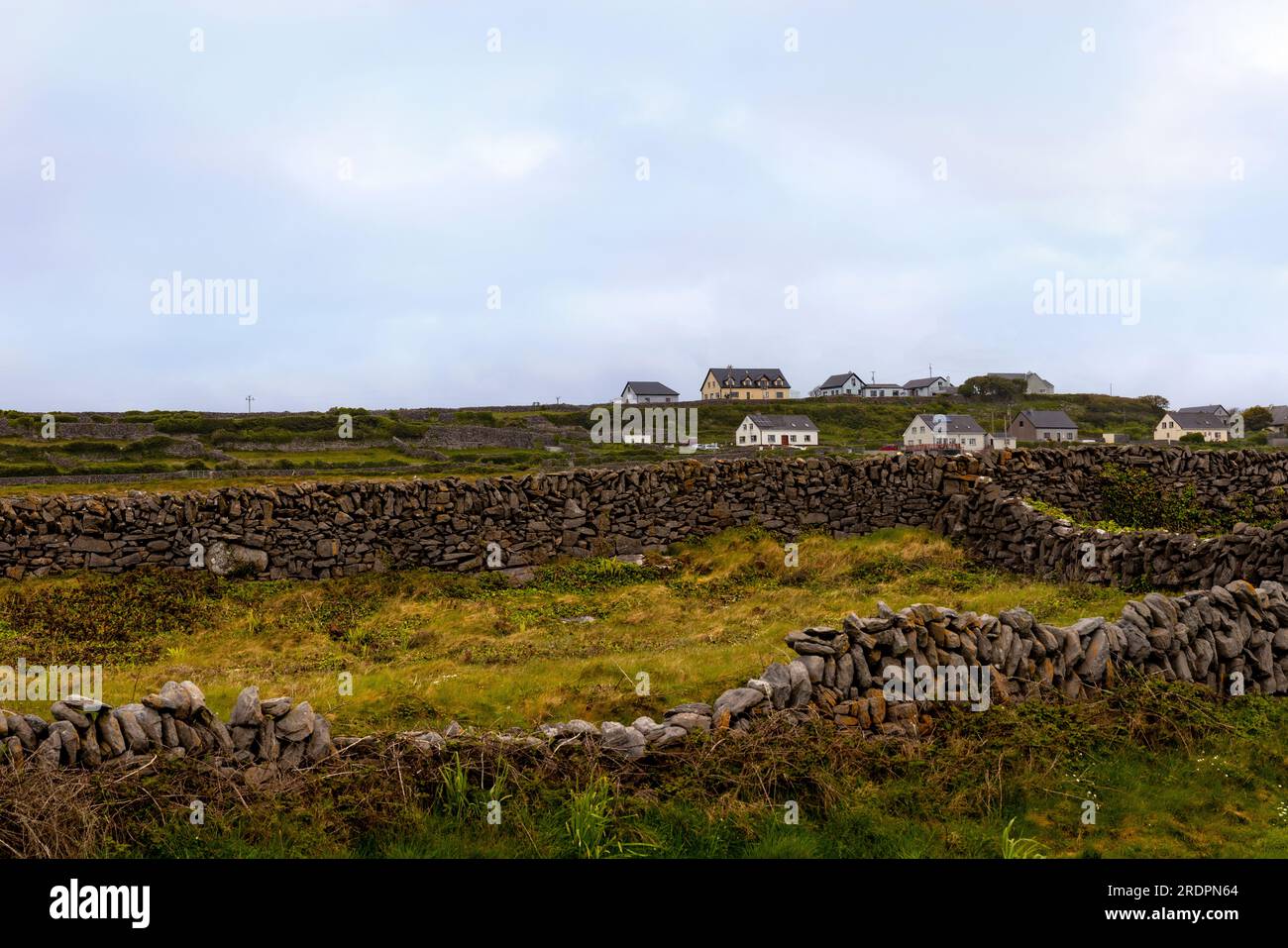Dry stone walls dominate the landscape on Inisheer, the smallest and ...