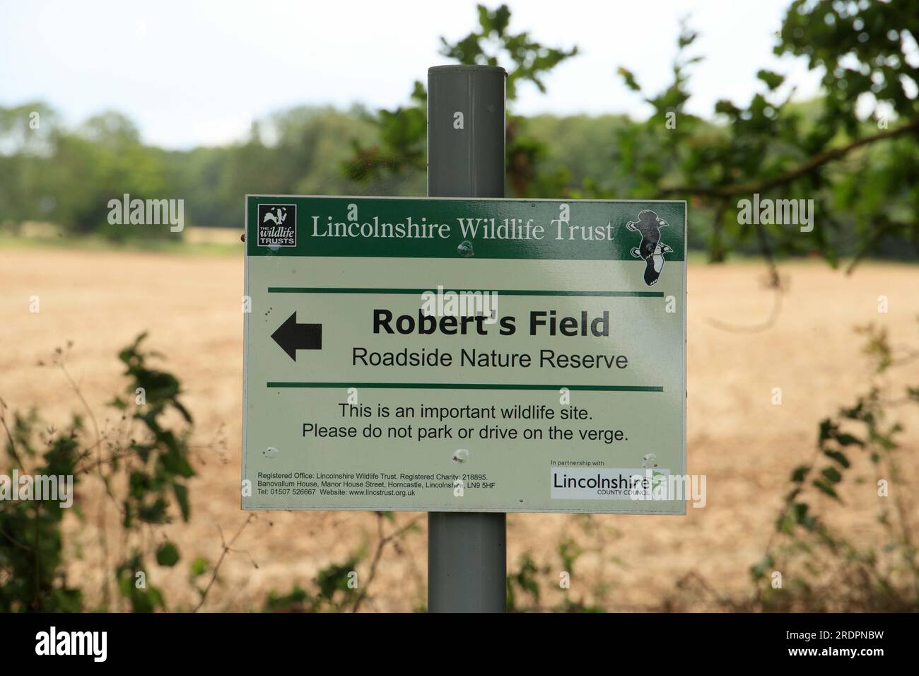 Roadside nature reserve in Lincolnshire Stock Photo - Alamy