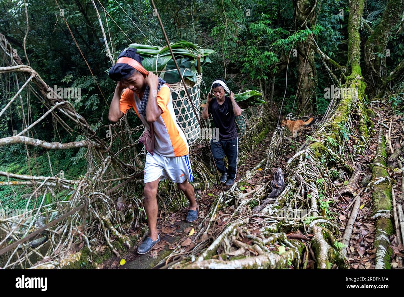 Carrying load on bridge hi-res stock photography and images - Alamy