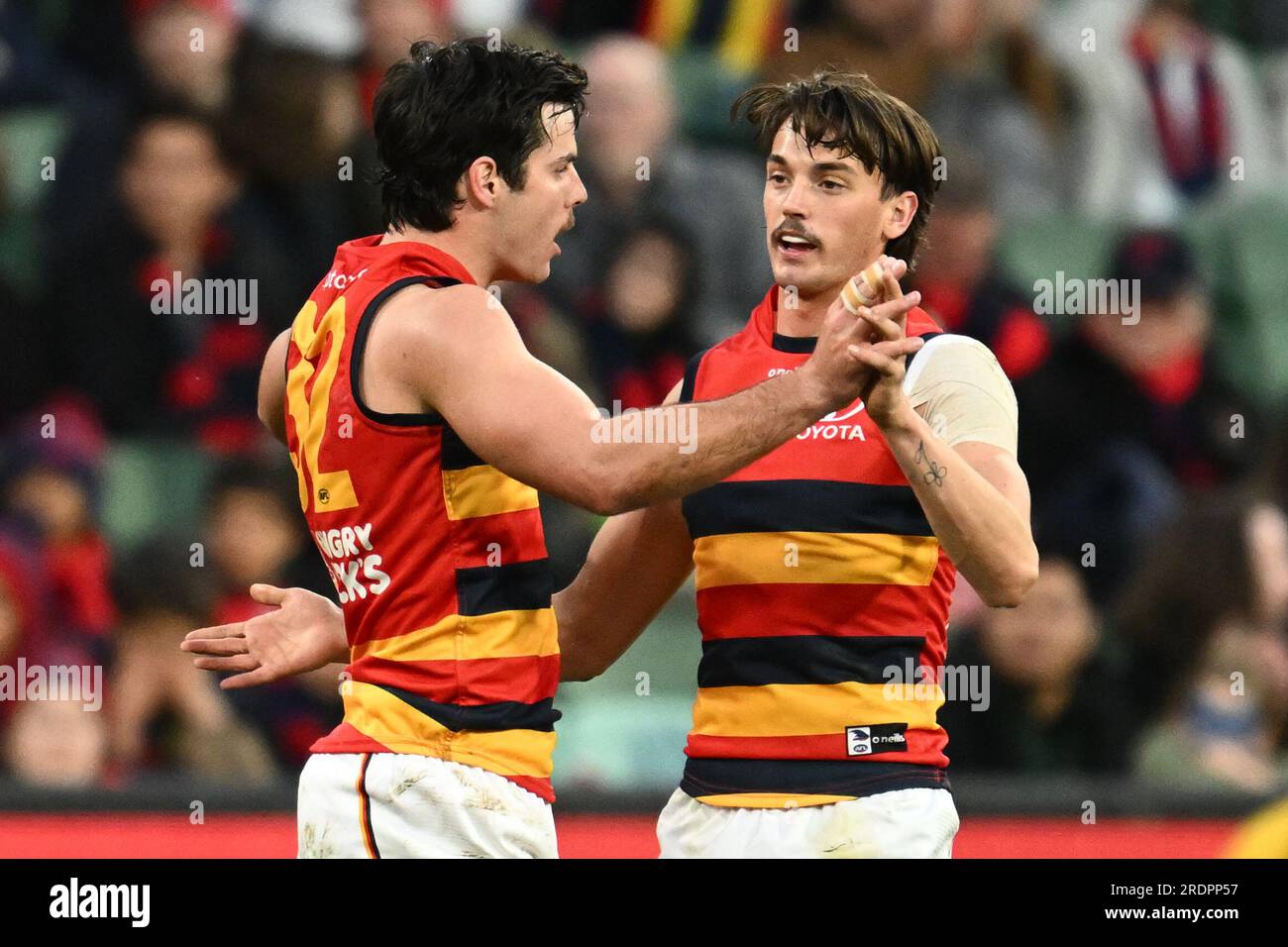 Australian Rules Football Crows
