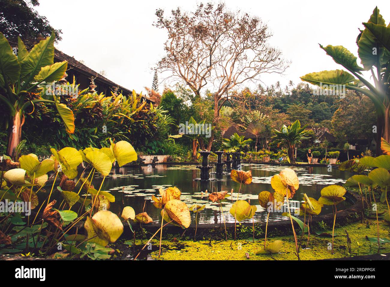 Balinese temple in natural surroundings. Great view of Bali’s nature ...
