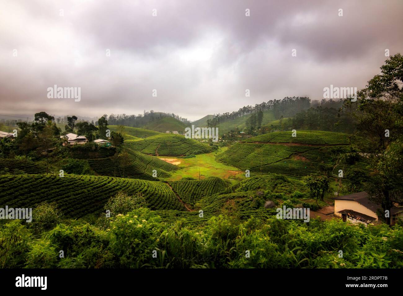 Sri Lanka Kandy train ride. This route over the mountains of Sri Lanka ...