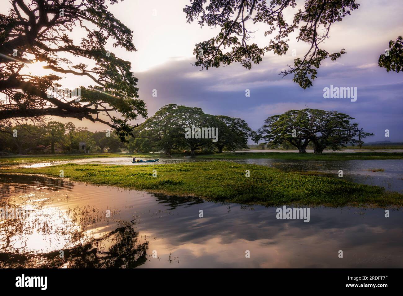 Sri Lanka Kandy train ride. This route over the mountains of Sri Lanka ...