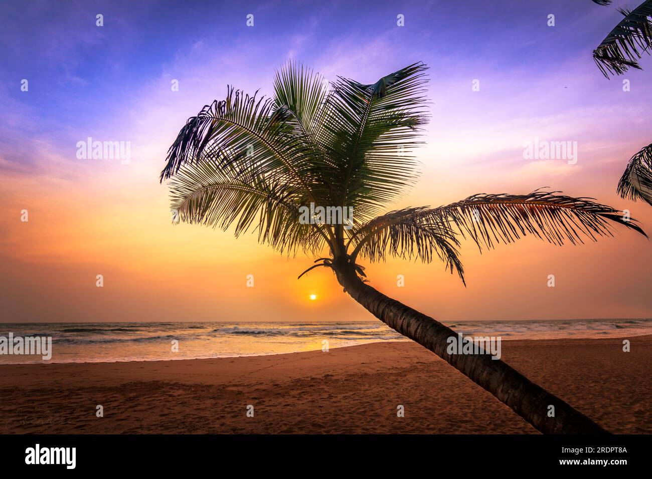 Sri Lanka on the beach. beautiful photo of the sea at sunset with lots ...