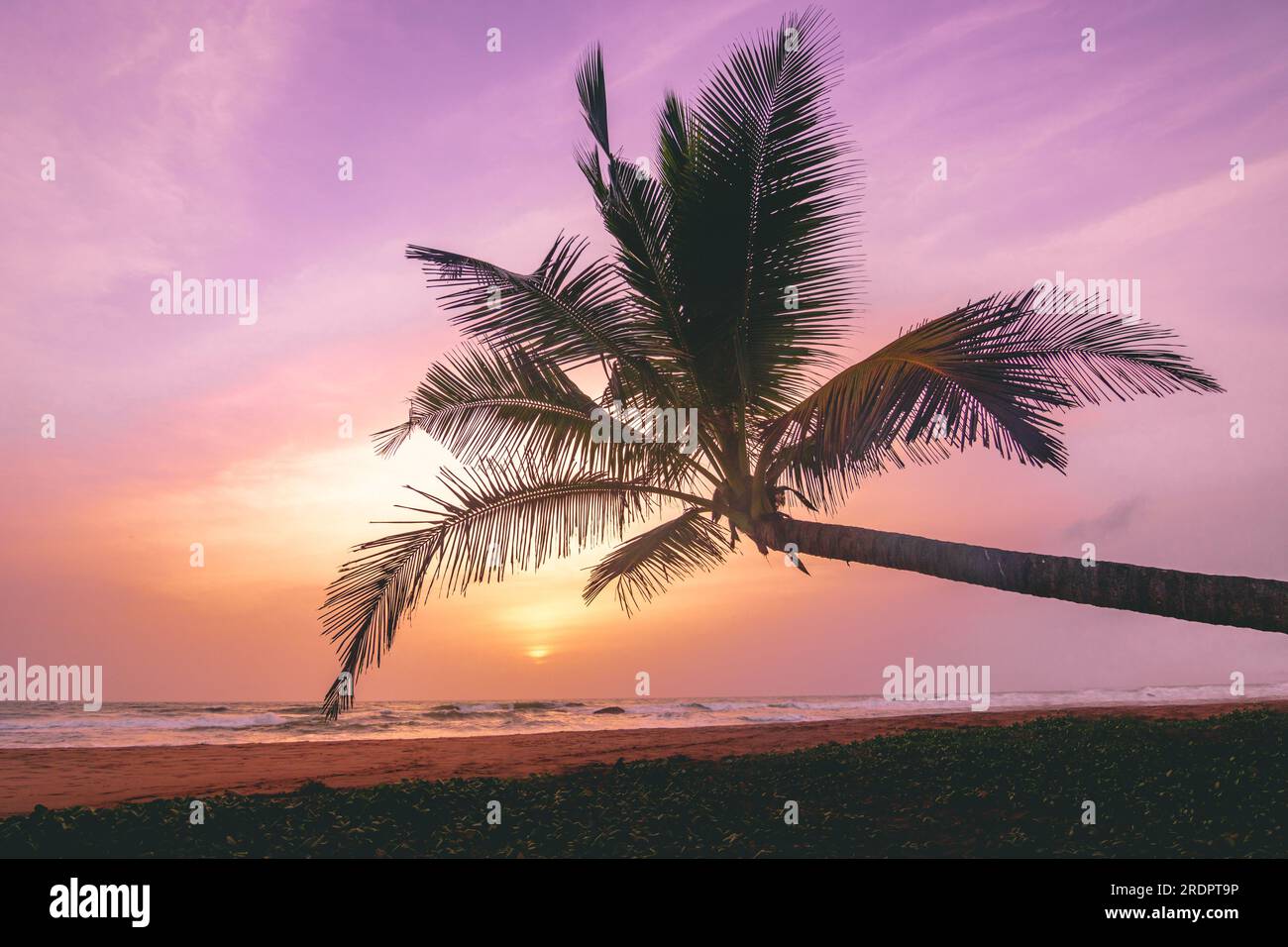Sri Lanka on the beach. beautiful photo of the sea at sunset with lots ...