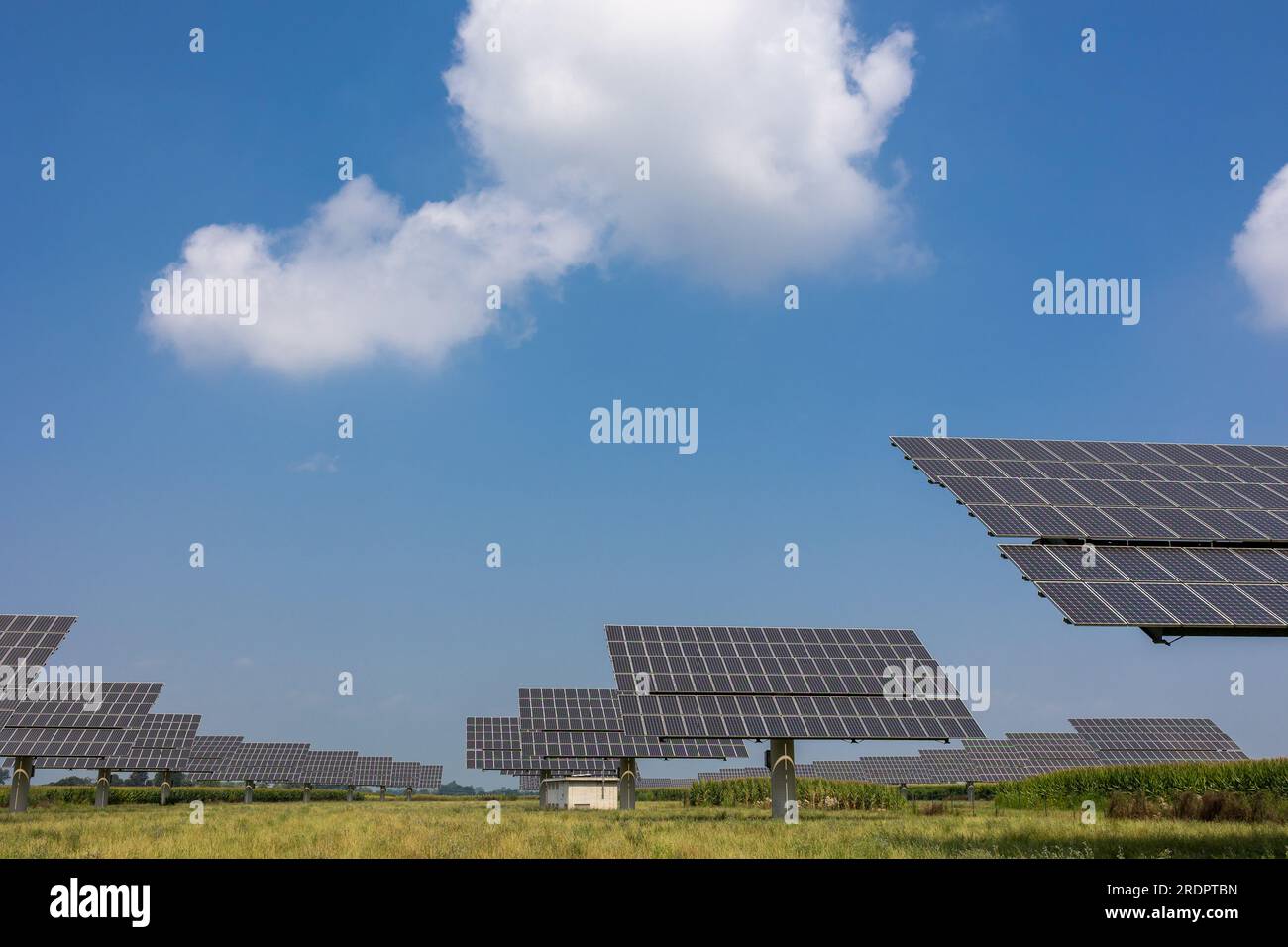Solar energy panels in a field Stock Photo - Alamy