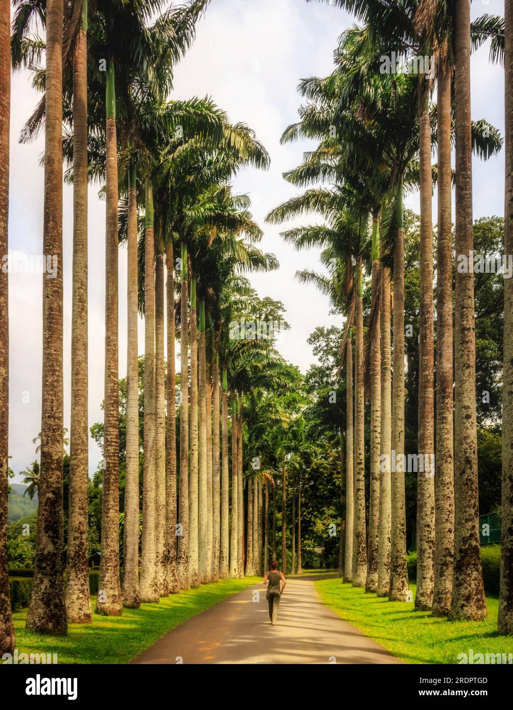 Botanical garden on paradise hi-res stock photography and images - Alamy