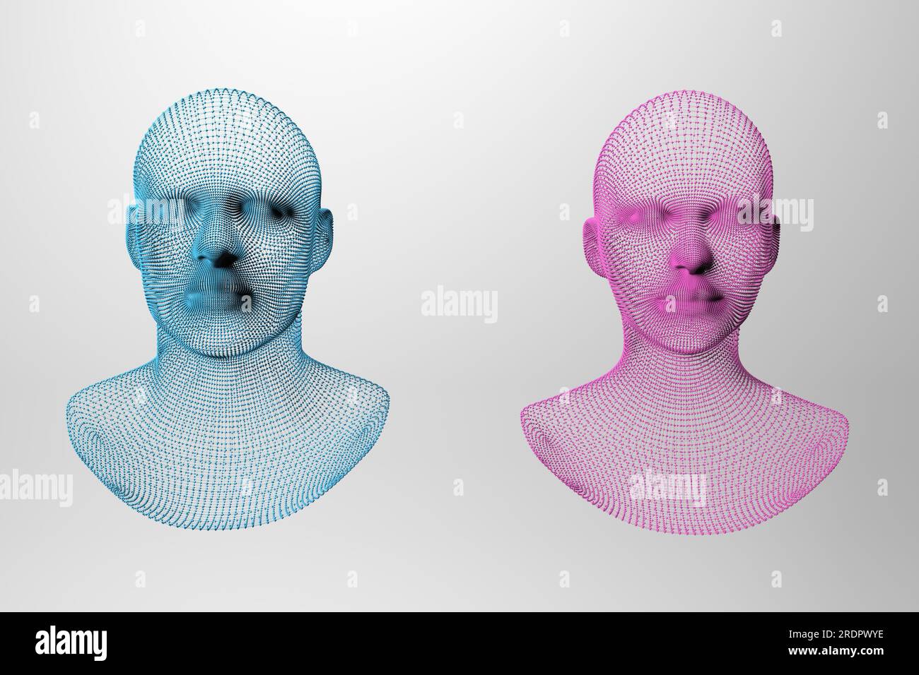 Wire-frame busts of a man and a woman side by side Stock Photo - Alamy