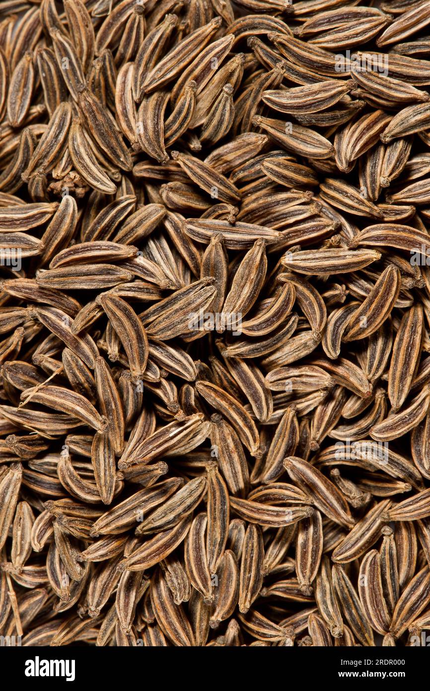 Texture of cumin seeds captured from above. Macro Stock Photo - Alamy