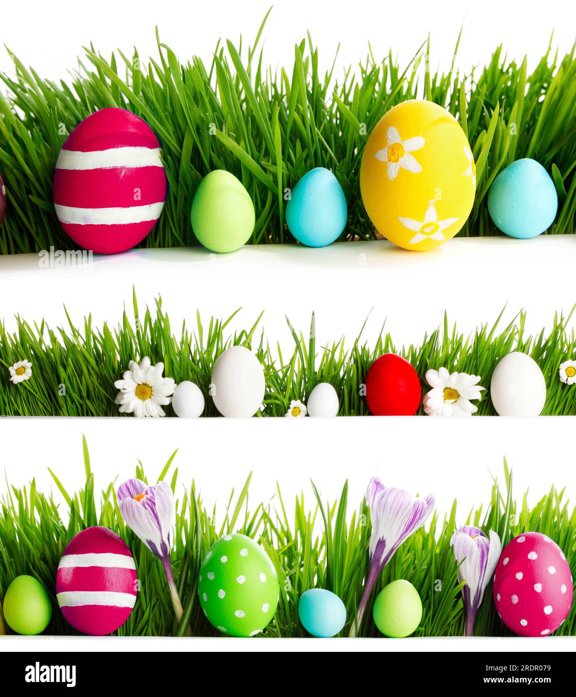 Fresh spring and Easter borders isolated on white background. Eggs ...