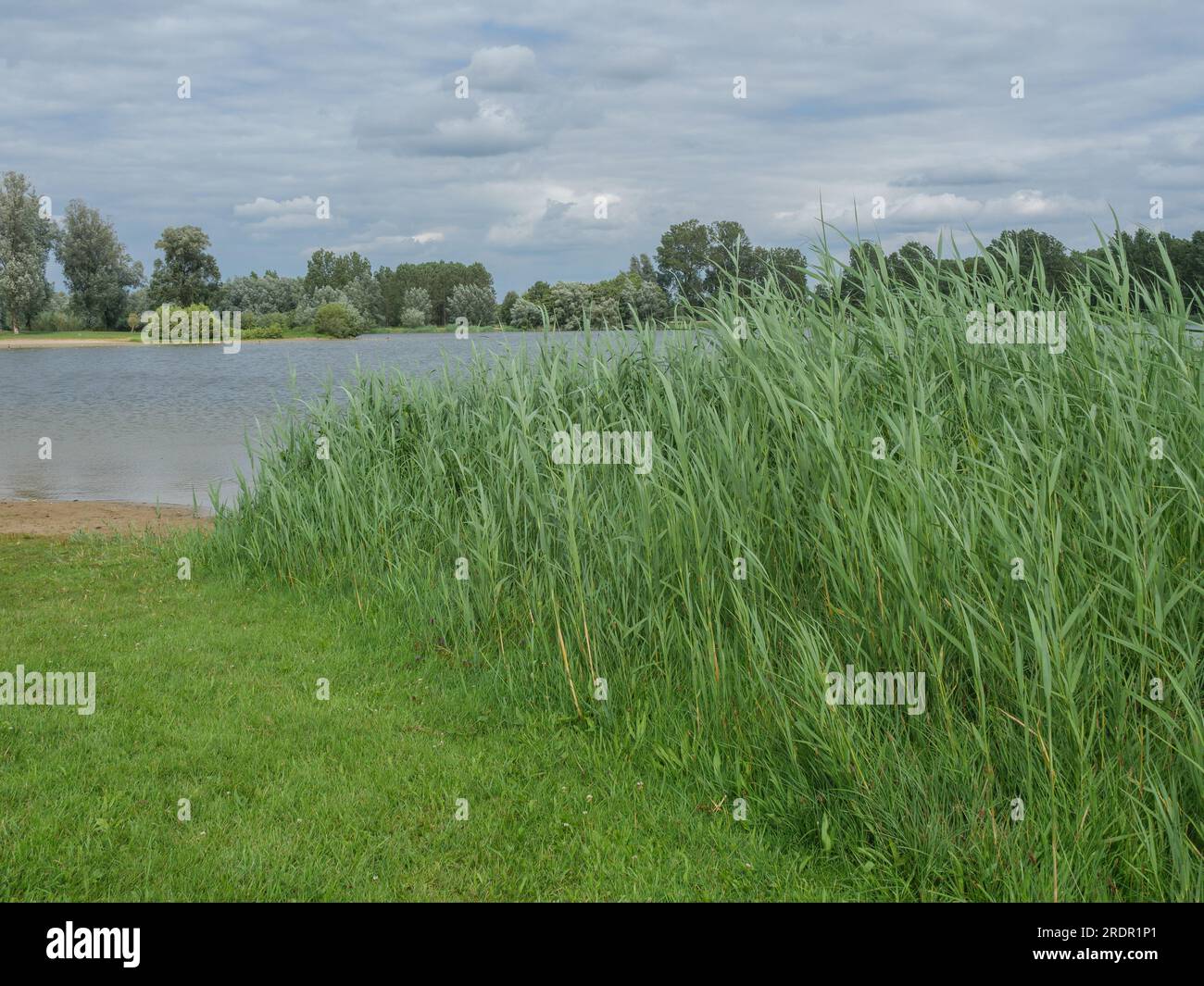 summer time in the netherlands Stock Photo - Alamy