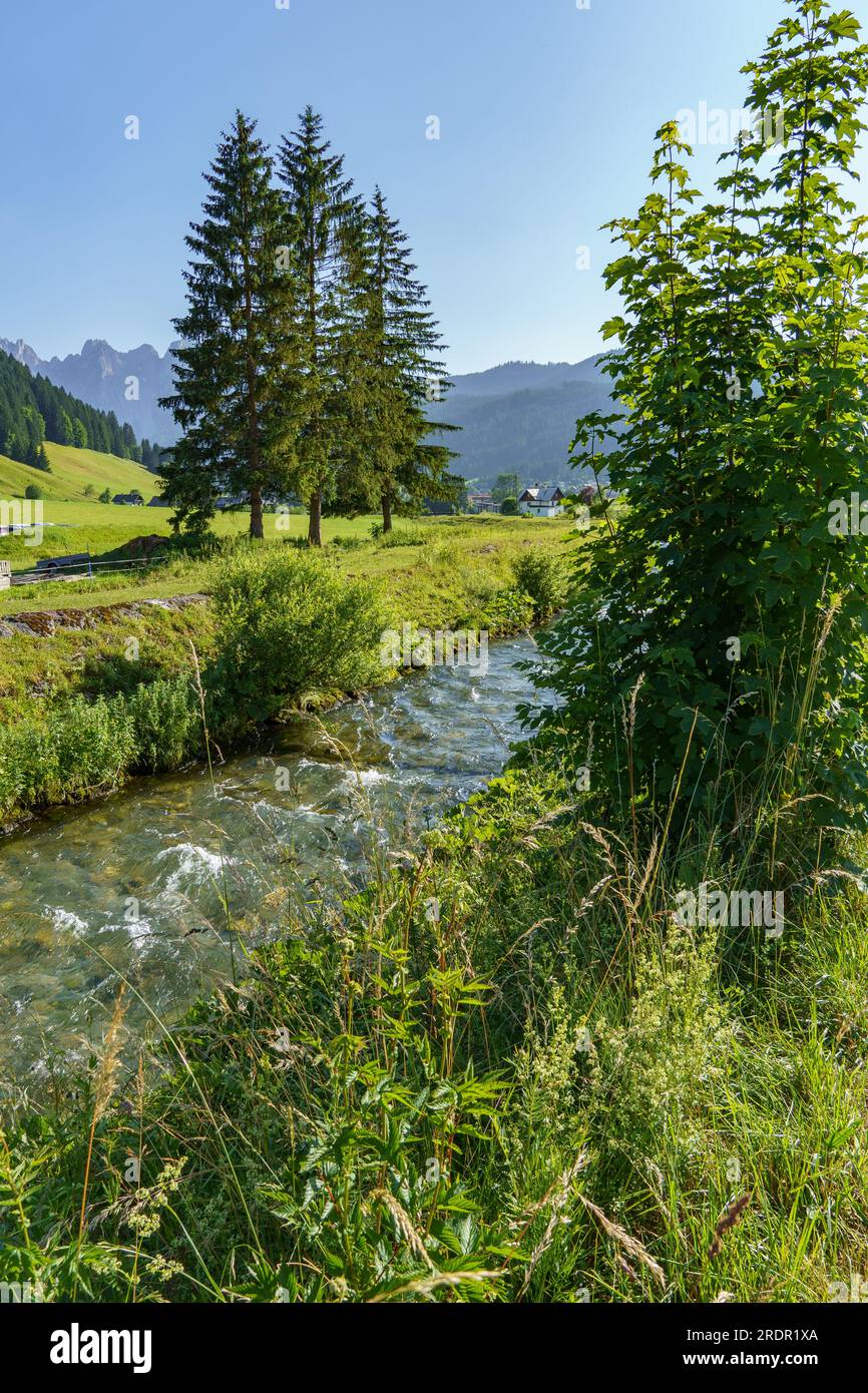 summer tiem in austria Stock Photo - Alamy
