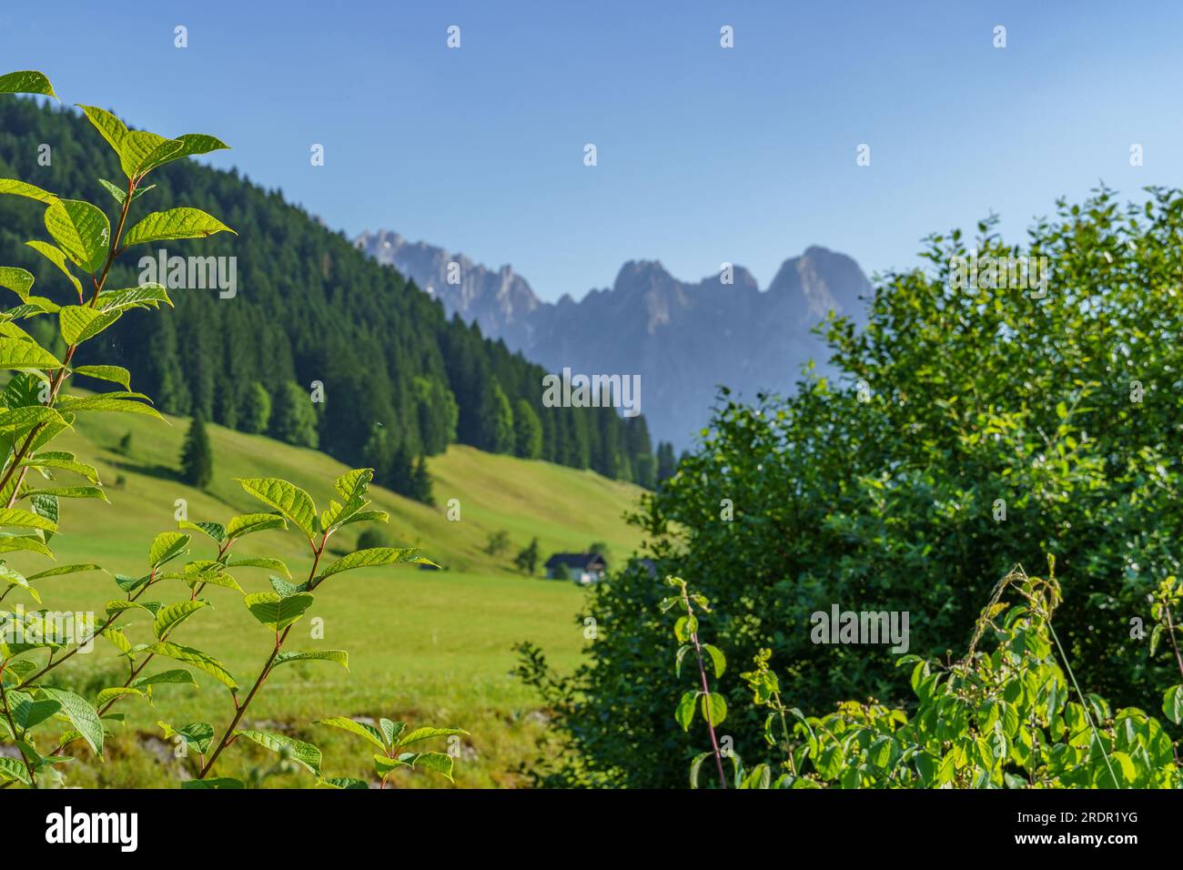 summer tiem in austria Stock Photo - Alamy