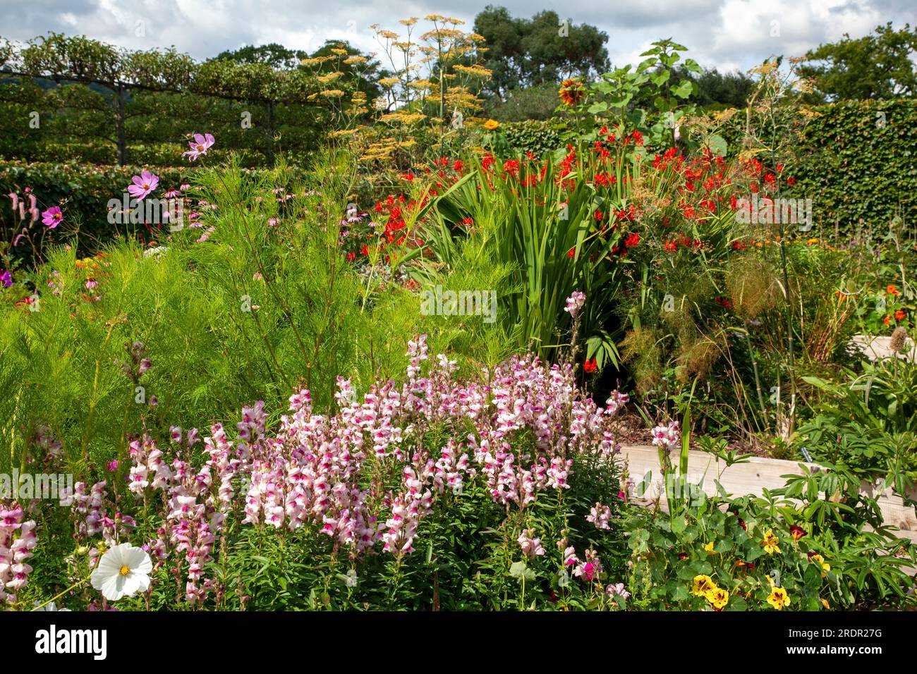 The Gravel Garden by garden designer Tom Massey supported by Sarah Mead ...