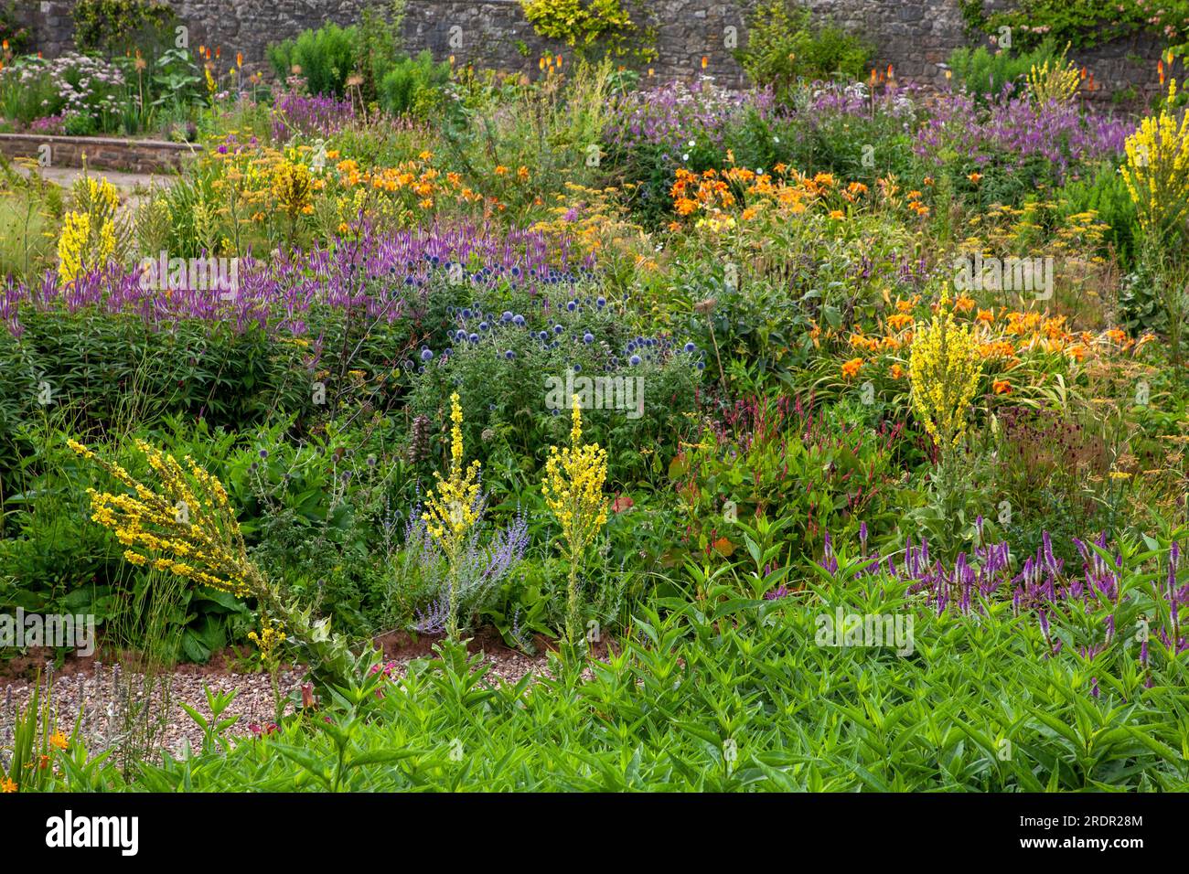 The Gravel Garden by garden designer Tom Massey supported by Sarah Mead ...