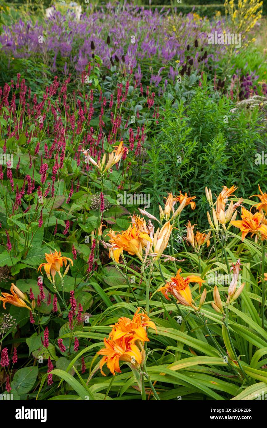 The Gravel Garden by garden designer Tom Massey supported by Sarah Mead ...
