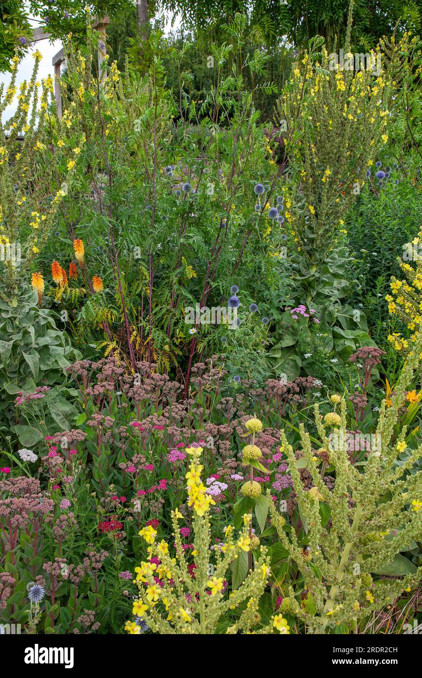 The Gravel Garden by garden designer Tom Massey supported by Sarah Mead ...
