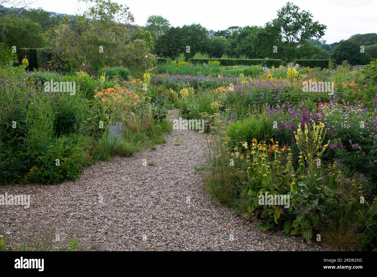 The Gravel Garden by garden designer Tom Massey supported by Sarah Mead ...