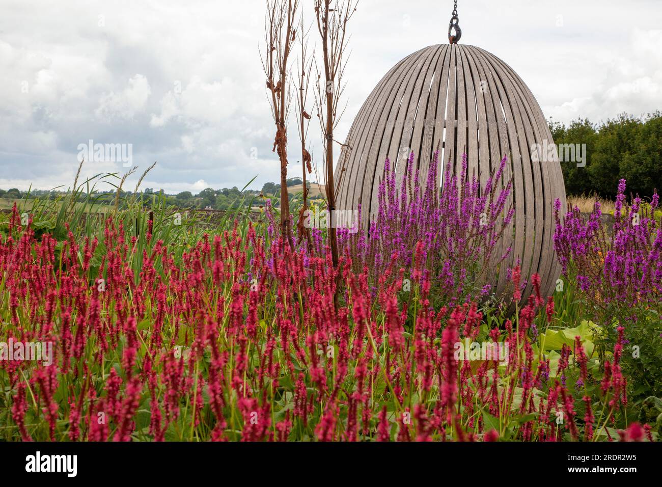 The Gravel Garden by garden designer Tom Massey supported by Sarah Mead ...