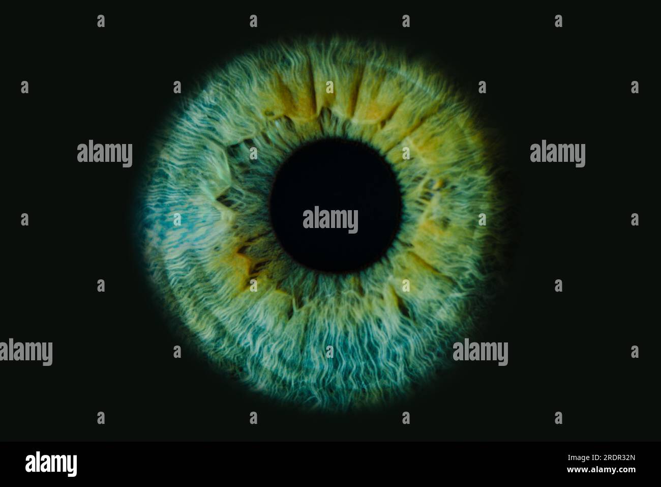 Child open eyes macro hi-res stock photography and images - Alamy