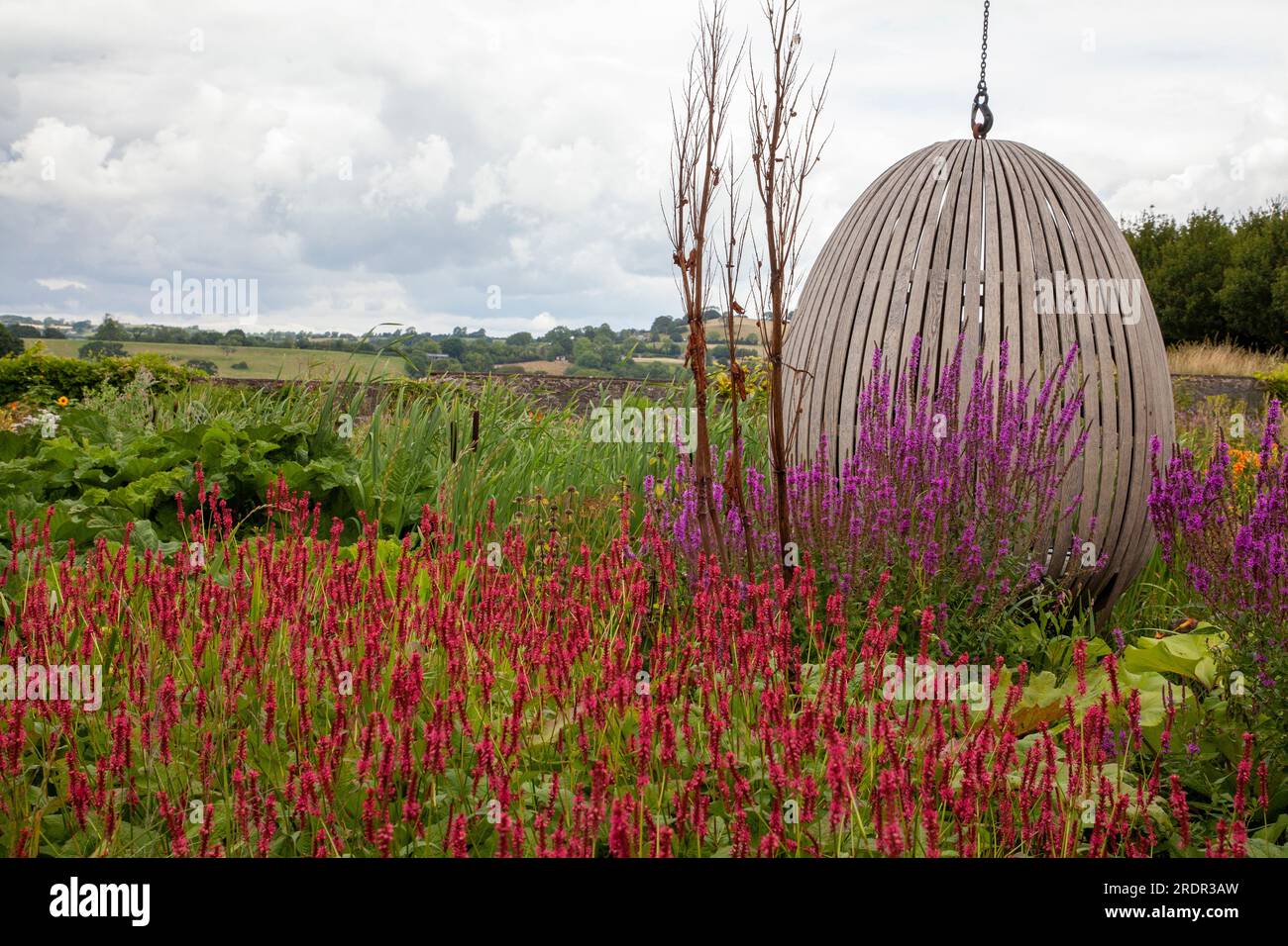 The Gravel Garden by garden designer Tom Massey supported by Sarah Mead ...