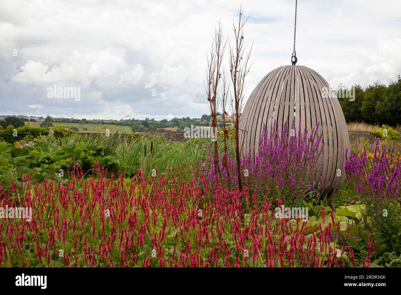 The Gravel Garden by garden designer Tom Massey supported by Sarah Mead ...