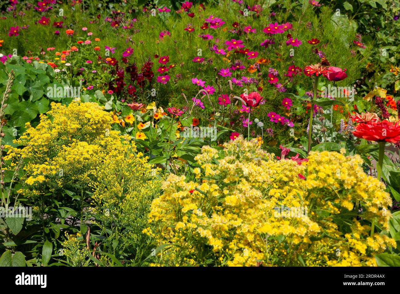 The Gravel Garden by garden designer Tom Massey supported by Sarah Mead ...