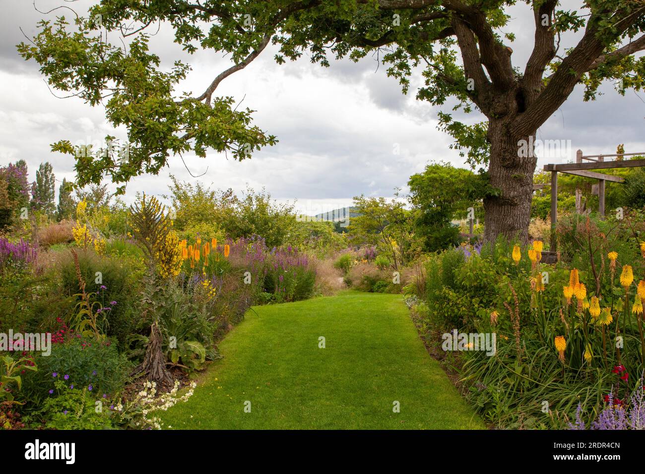 The Gravel Garden by garden designer Tom Massey supported by Sarah Mead ...