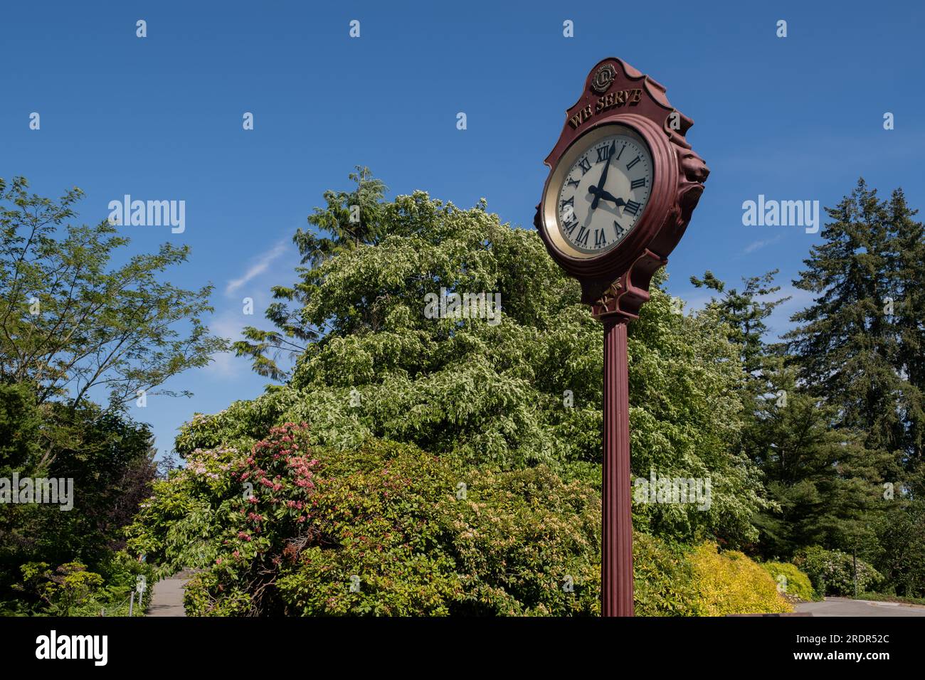 Queen elizabeth clock hi-res stock photography and images - Alamy