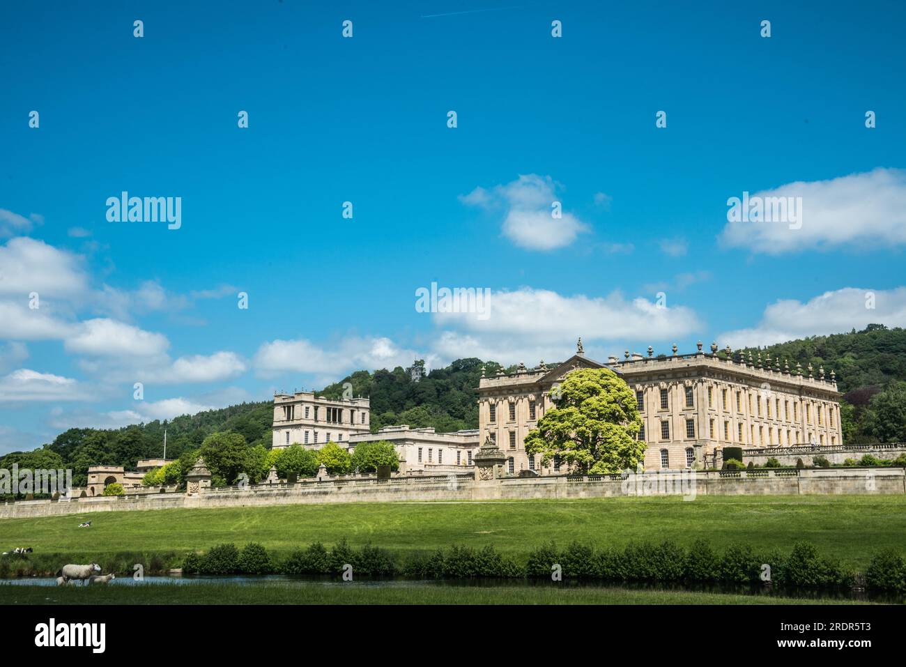 Grooming, Chatsworth Raymond Boswell Stock Photo - Alamy