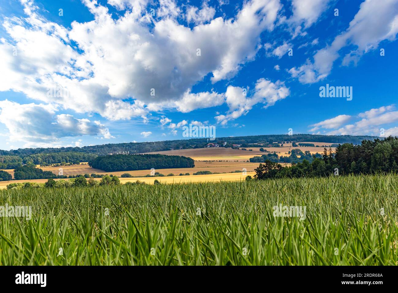 Summer landscape with fields and forests in the Czech Republic Stock ...