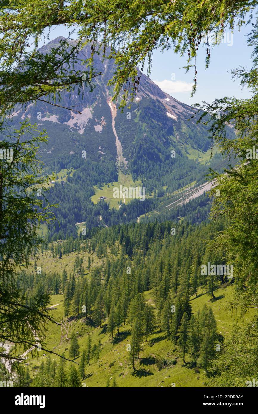 the austrian alps Stock Photo - Alamy