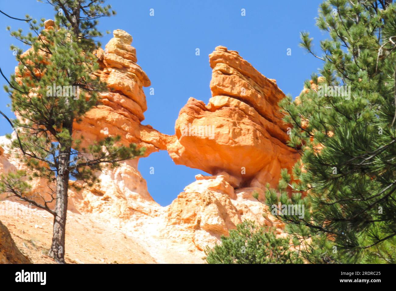 A small strange little arch within the limestone of Bryce Canyon ...