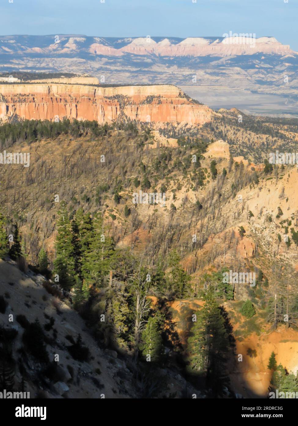 View over Bryce Canyon with the multi colored cliffs of the Grand ...