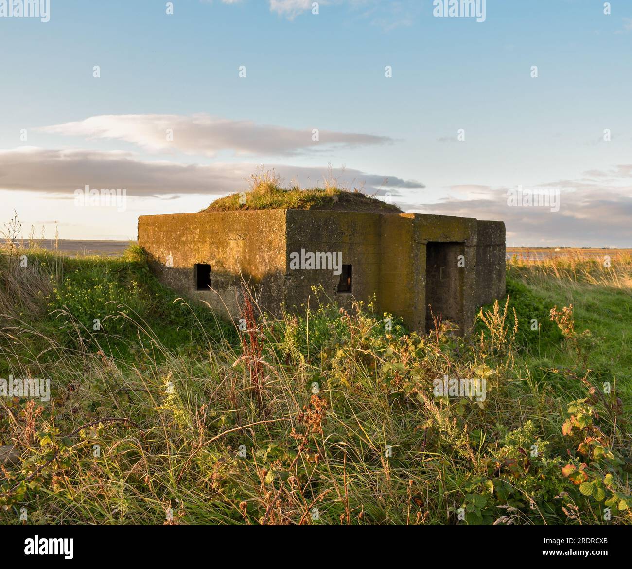 Concrete edge hi-res stock photography and images - Alamy