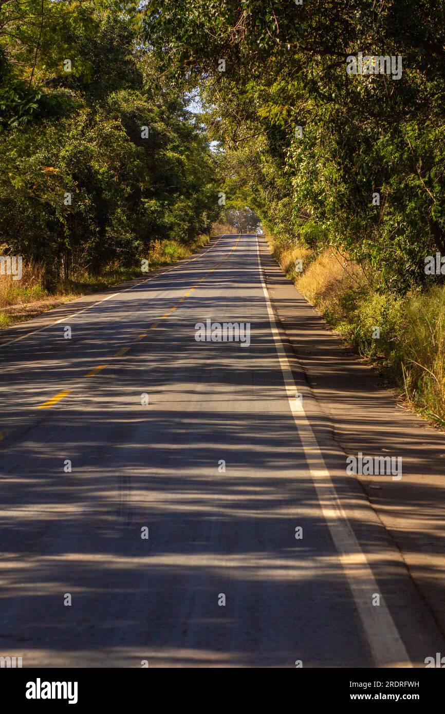 Catalao, Goias, Brazil – July 06, 2023: A very beautiful, tree-lined ...