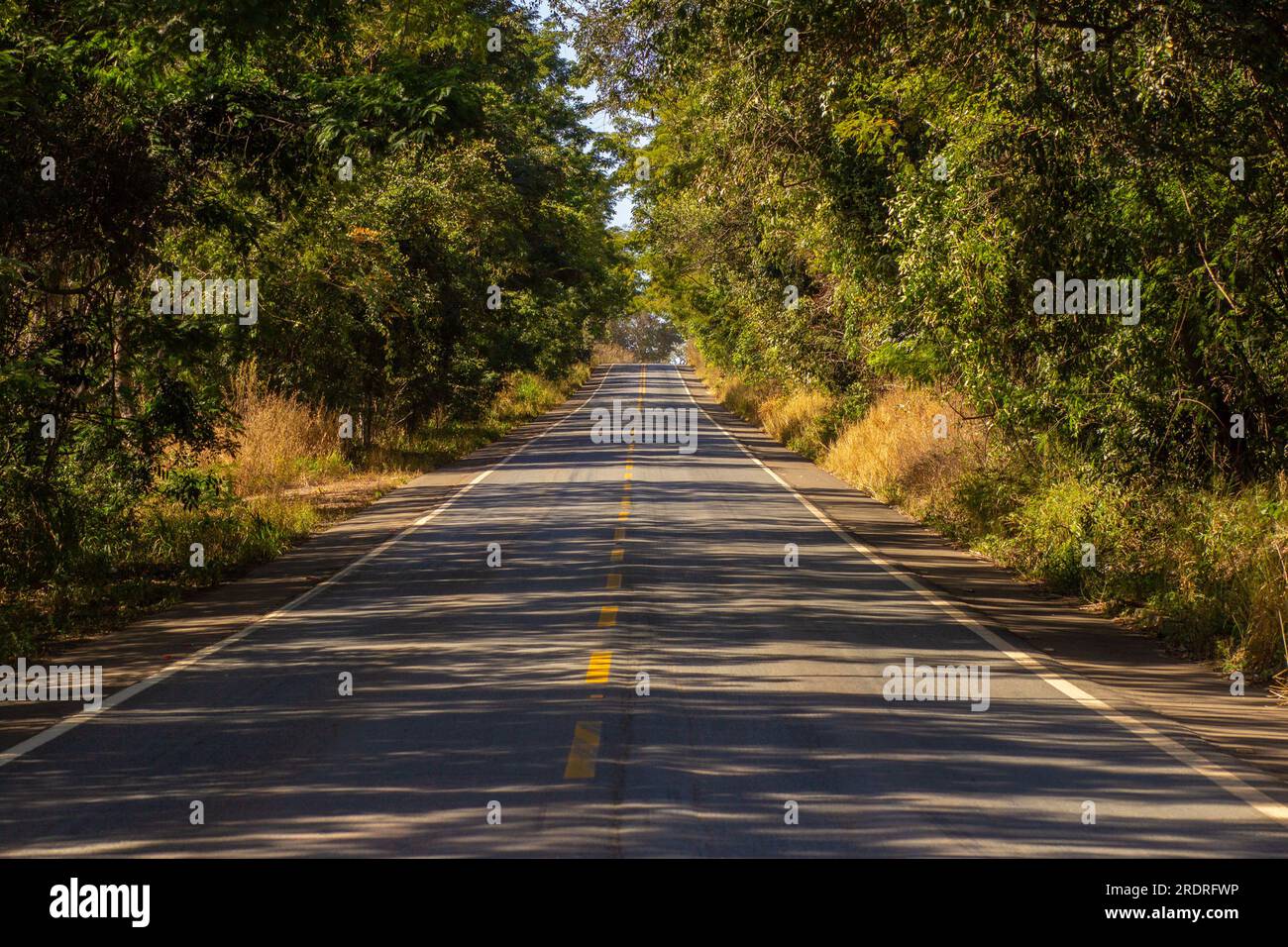 Catalao, Goias, Brazil – July 06, 2023: A very beautiful, tree-lined ...