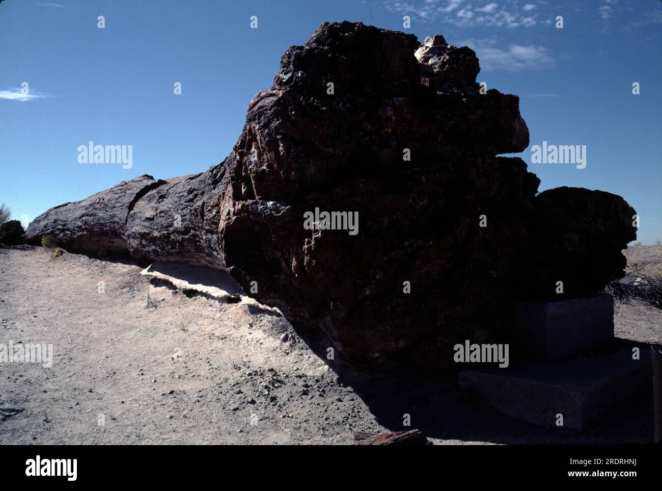 Petrified Forest, AZ 86028-2217. U.S.A. TRIASSIC TREASURE Petrified ...