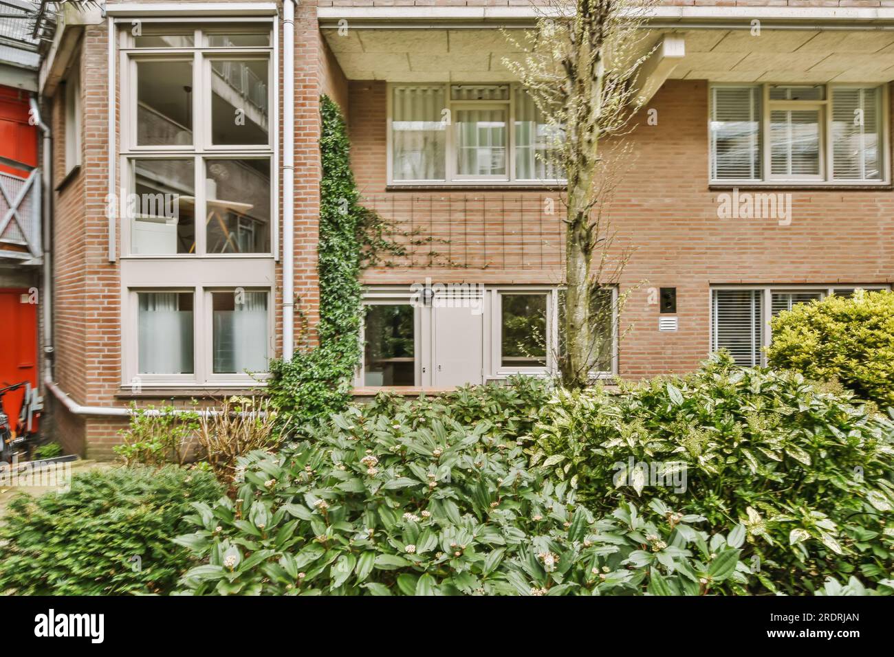 an apartment building with plants and bushes in the foregrounds, berlin ...
