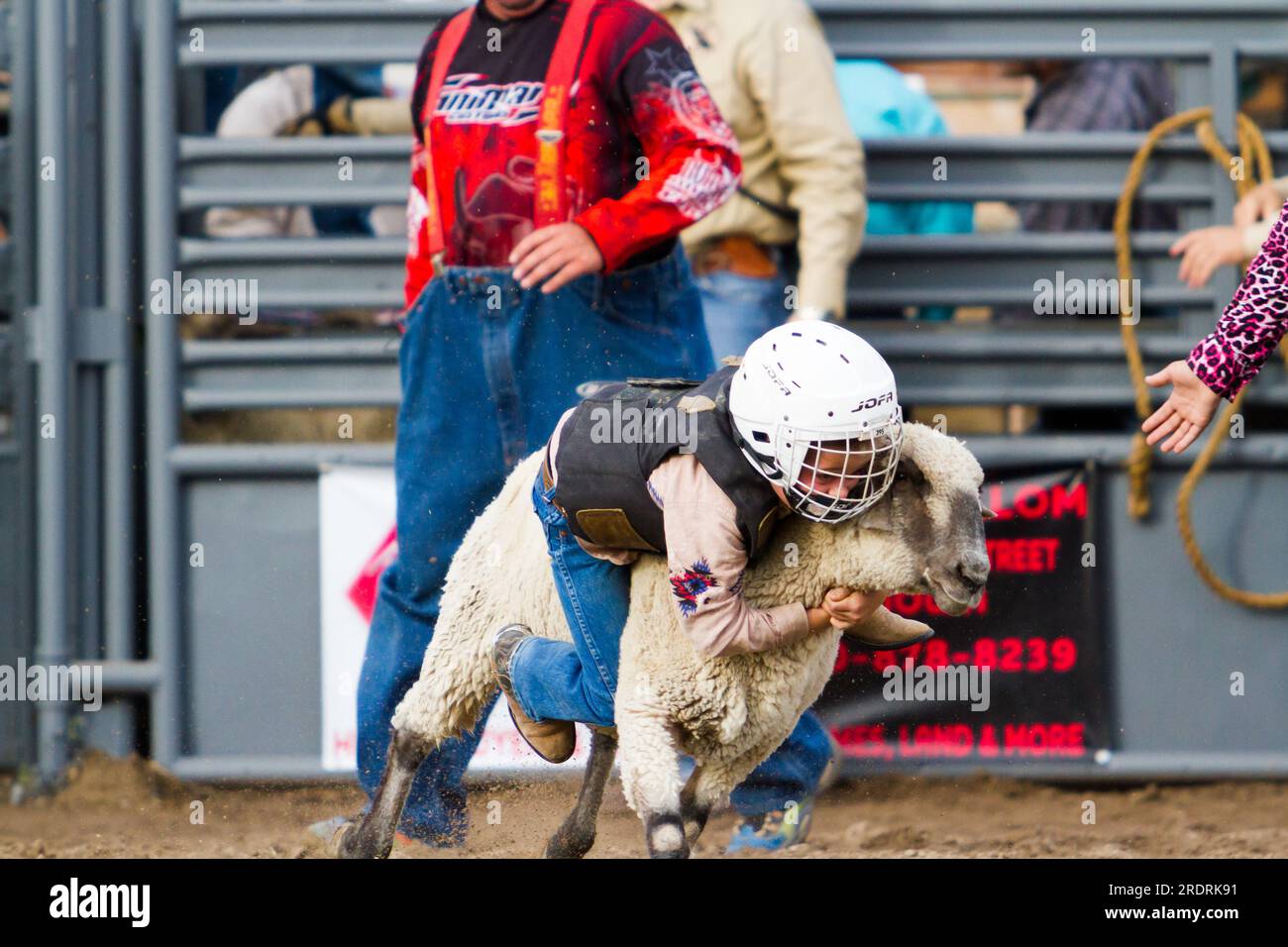 Rodeo mutton bustin hi-res stock photography and images - Alamy