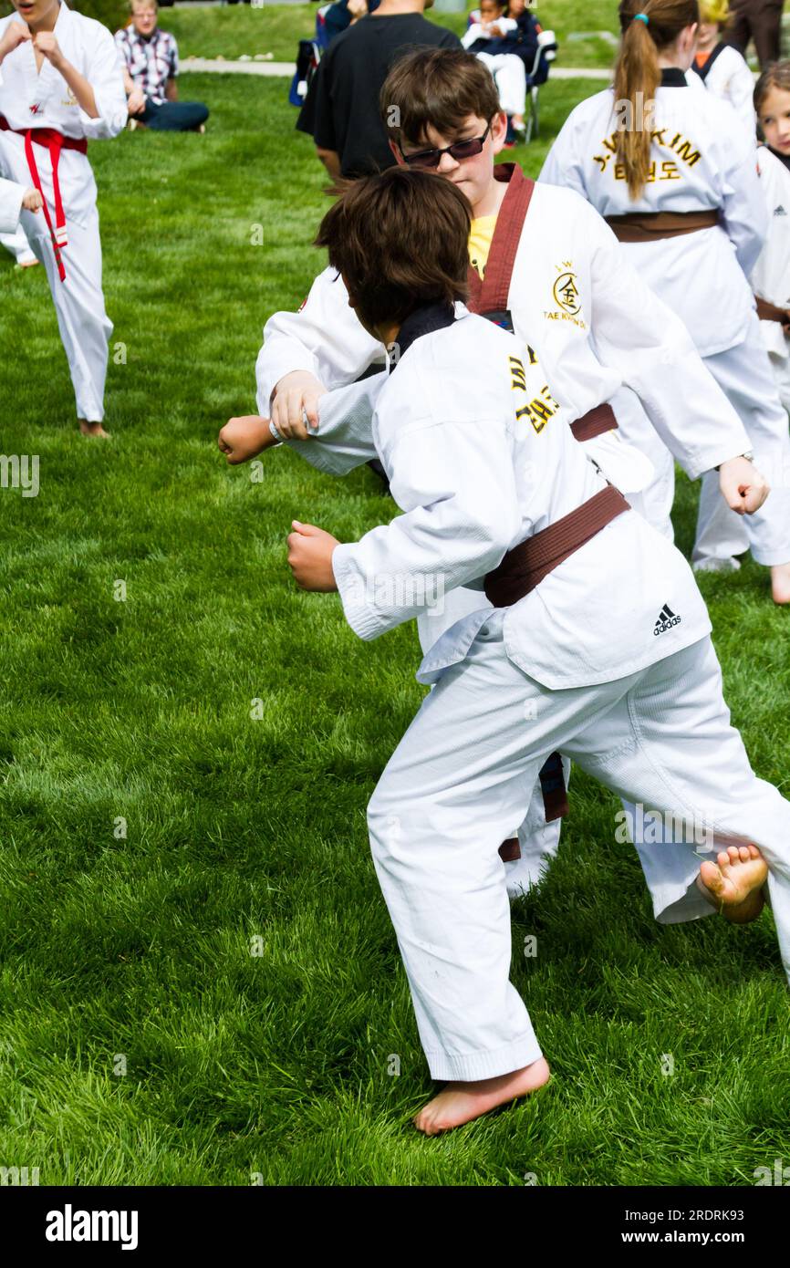 Tae Kwon Do Stock Photo - Alamy