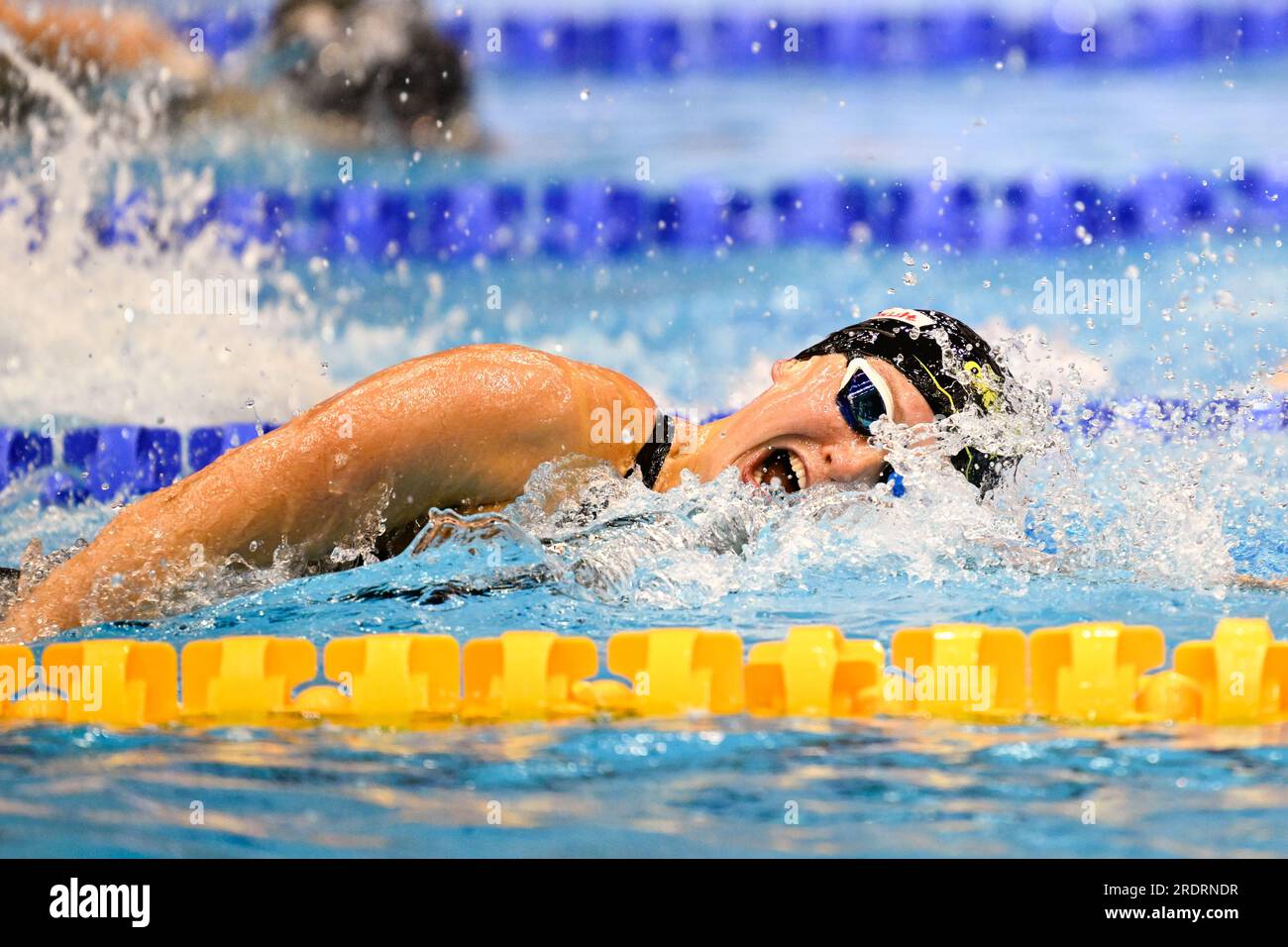 Kim busch hi-res stock photography and images - Alamy