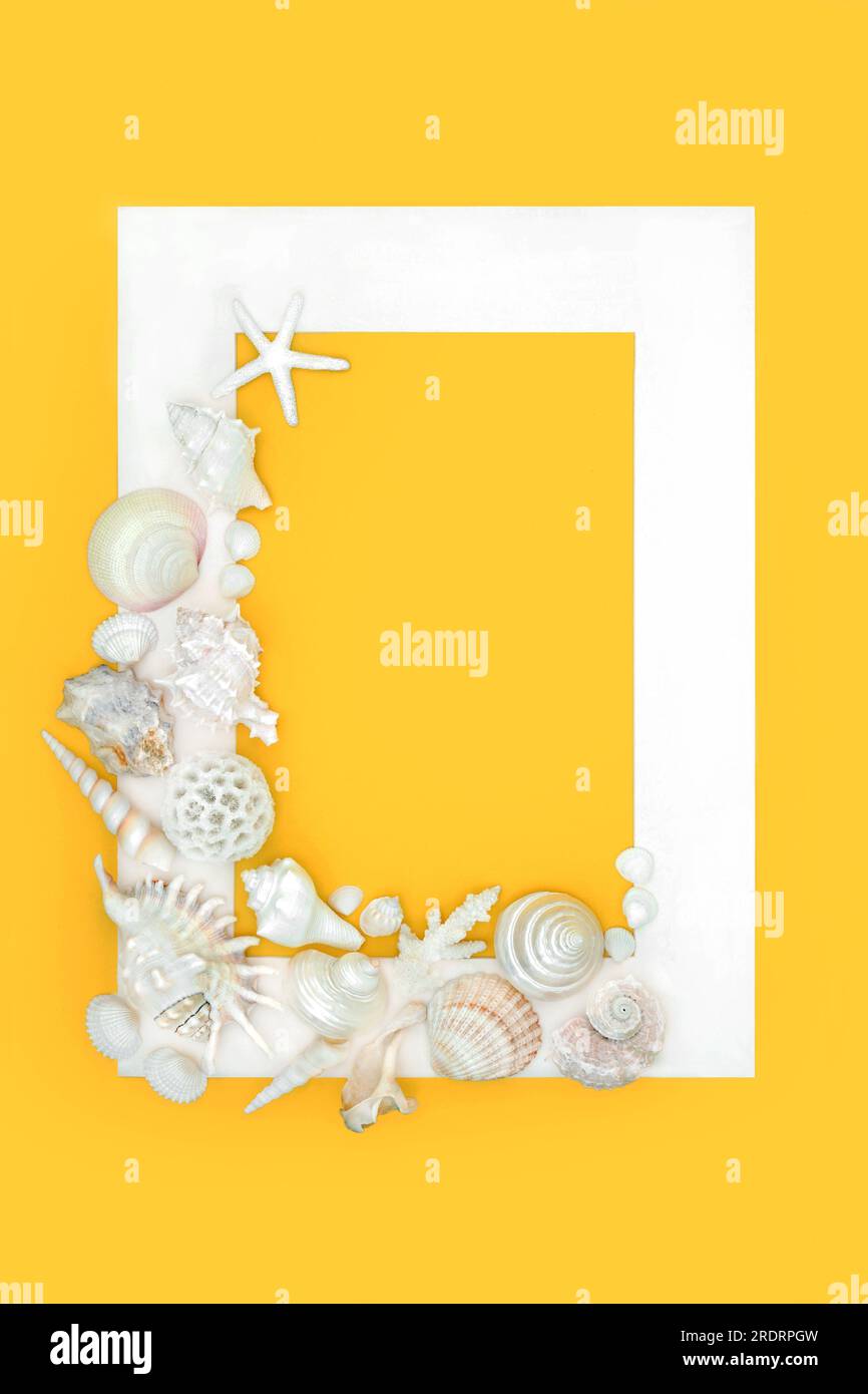 Seashell background border with assorted white shells on yellow ...
